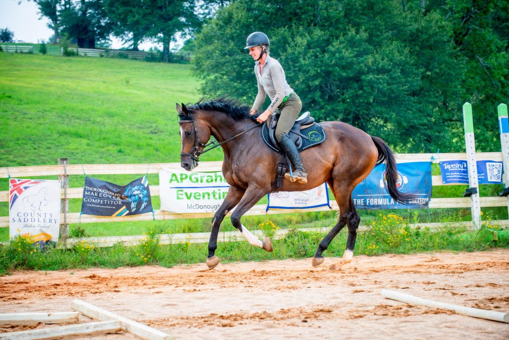 Thoroughbred Logic: “Under-Riding” | HORSE NATION