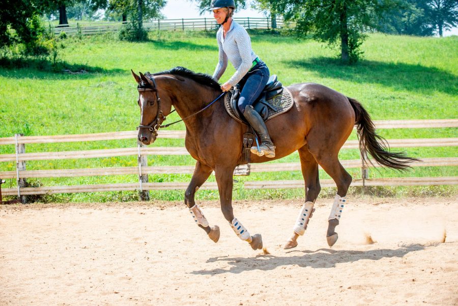 Thoroughbred Logic: The Half-Seat | HORSE NATION
