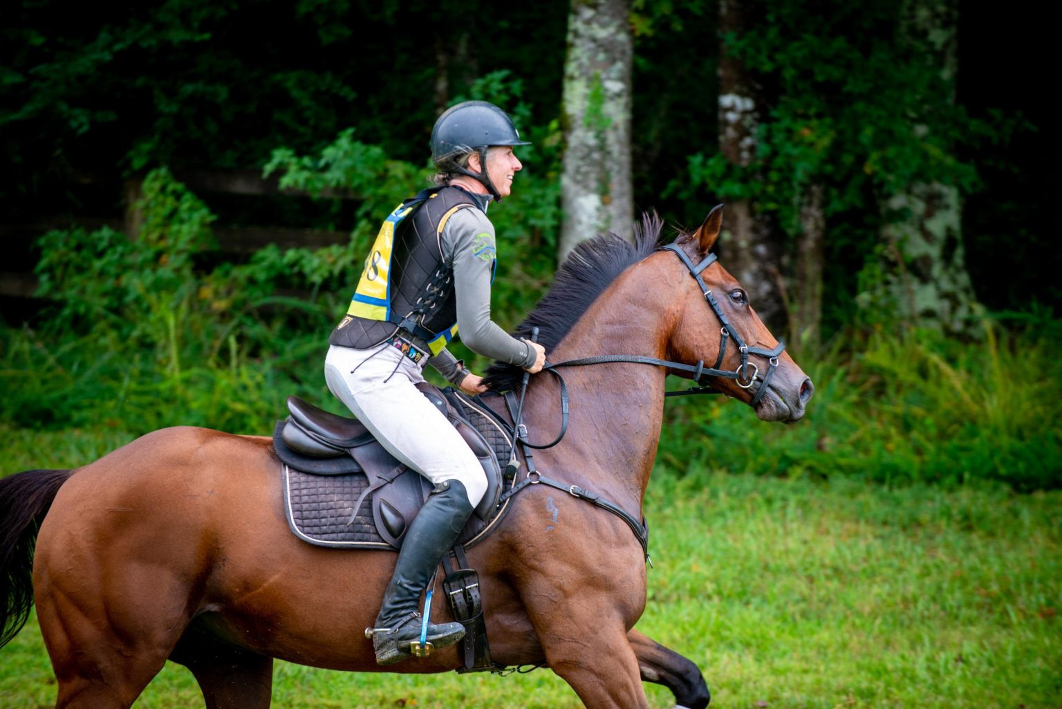 Thoroughbred Logic: Hands & Dumb (But Effective) Metaphors | HORSE NATION