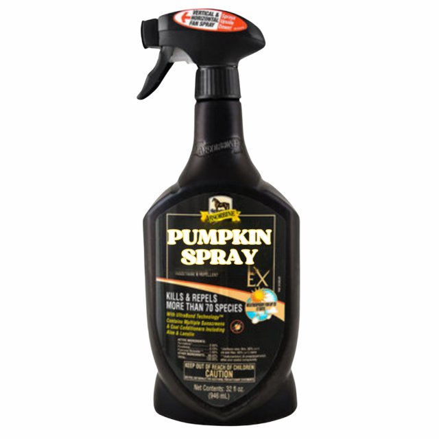 #TBT: 7 MORE Things That Need To Come in Pumpkin Spice | HORSE NATION