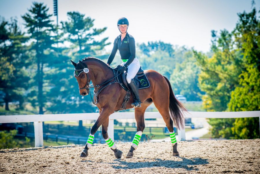 Thoroughbred Logic: The Disappearing Triangles… | HORSE NATION