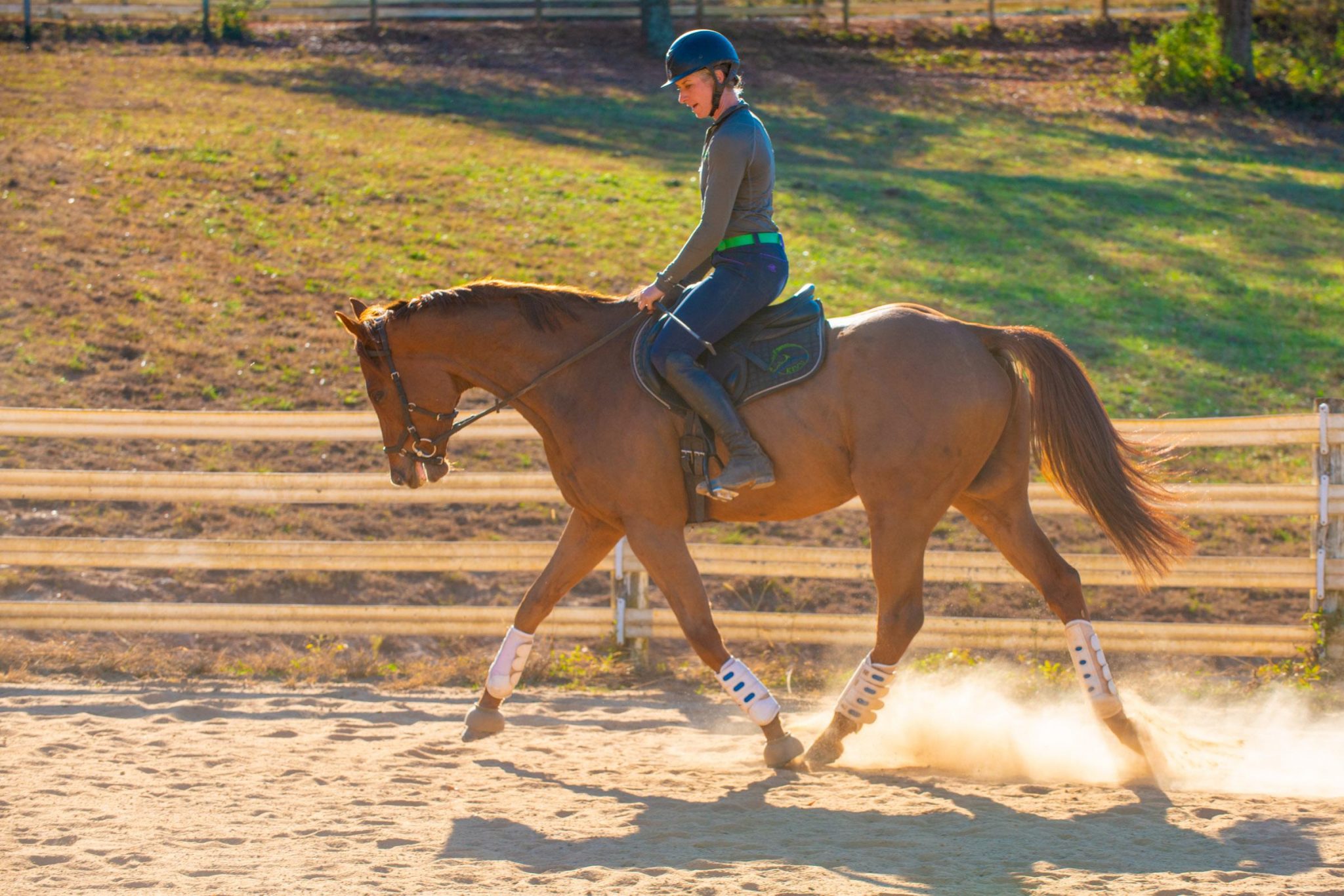 Thoroughbred Logic: The Disappearing Triangles… | HORSE NATION