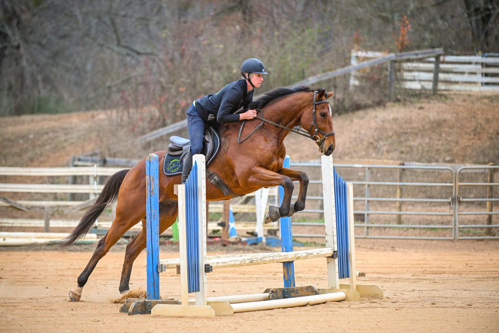 Thoroughbred Logic: Getting Started Over Fences | HORSE NATION