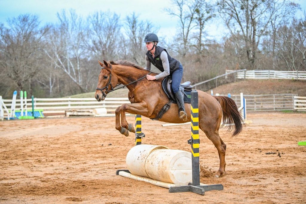 Thoroughbred Logic: Getting Started Over Fences | HORSE NATION