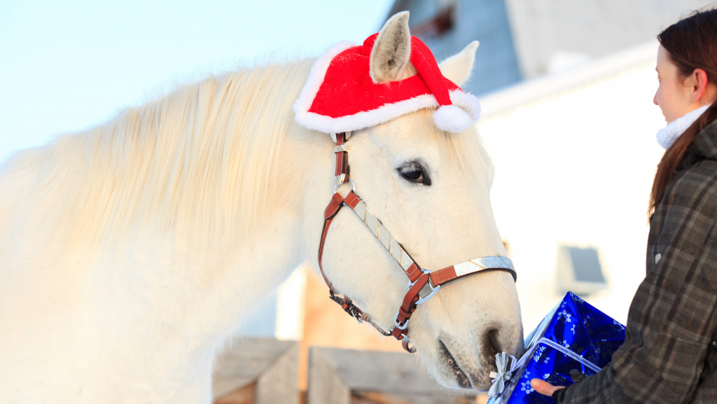 SmartPak Monday Morning Feed: 15 Stocking Stuffer Ideas for Your Barn ...