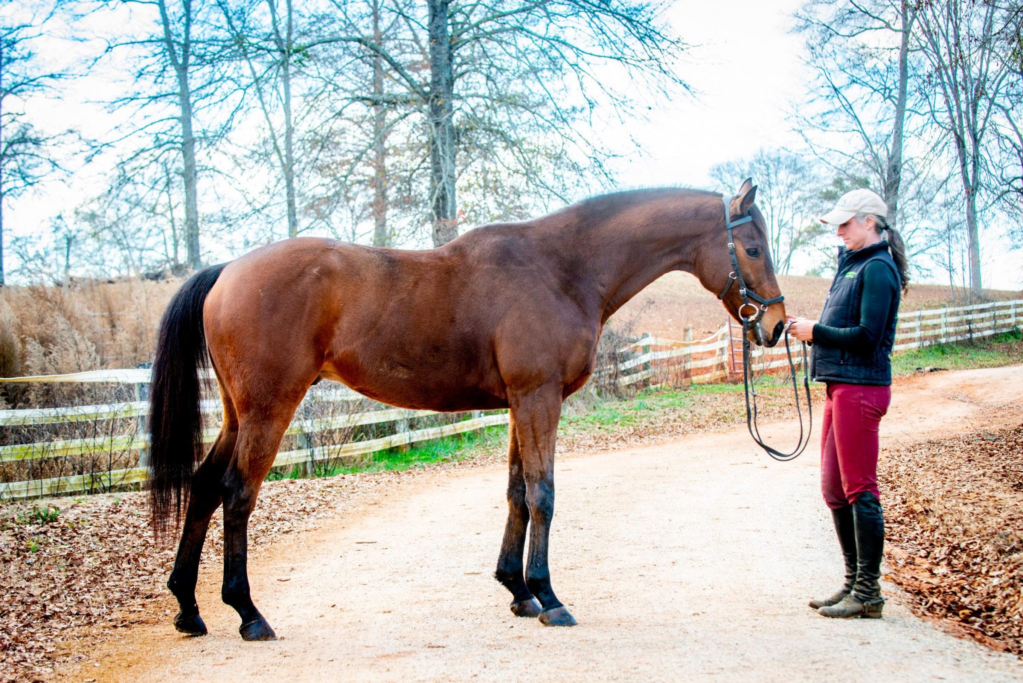 Thoroughbred Logic, Presented by Kentucky Performance Products: The Let ...