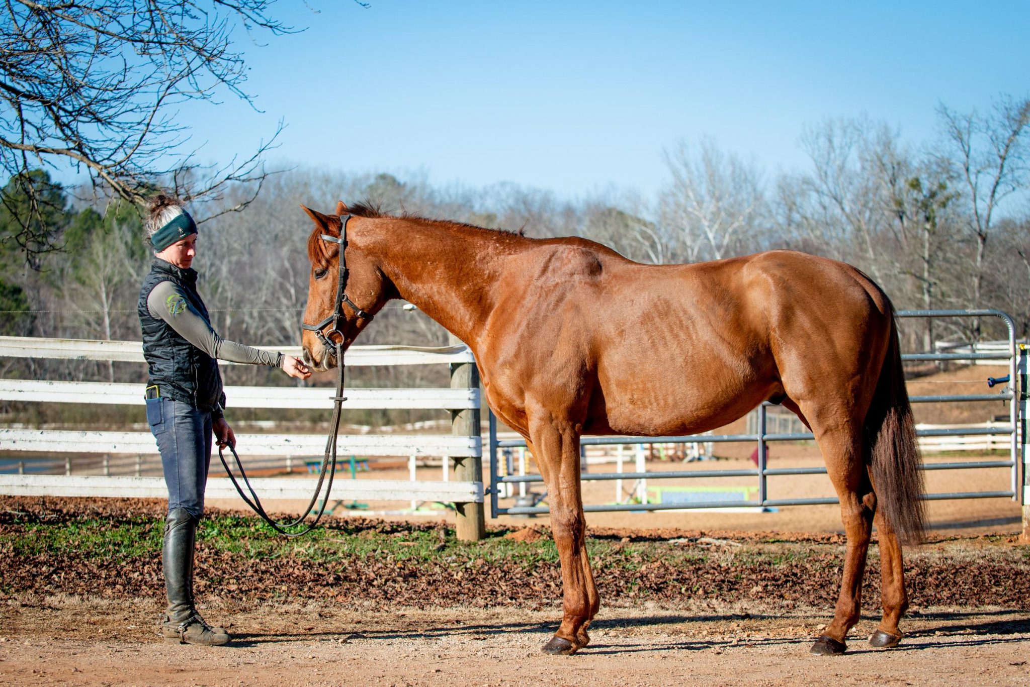 Thoroughbred Logic, Presented by Kentucky Performance Products: The Let ...