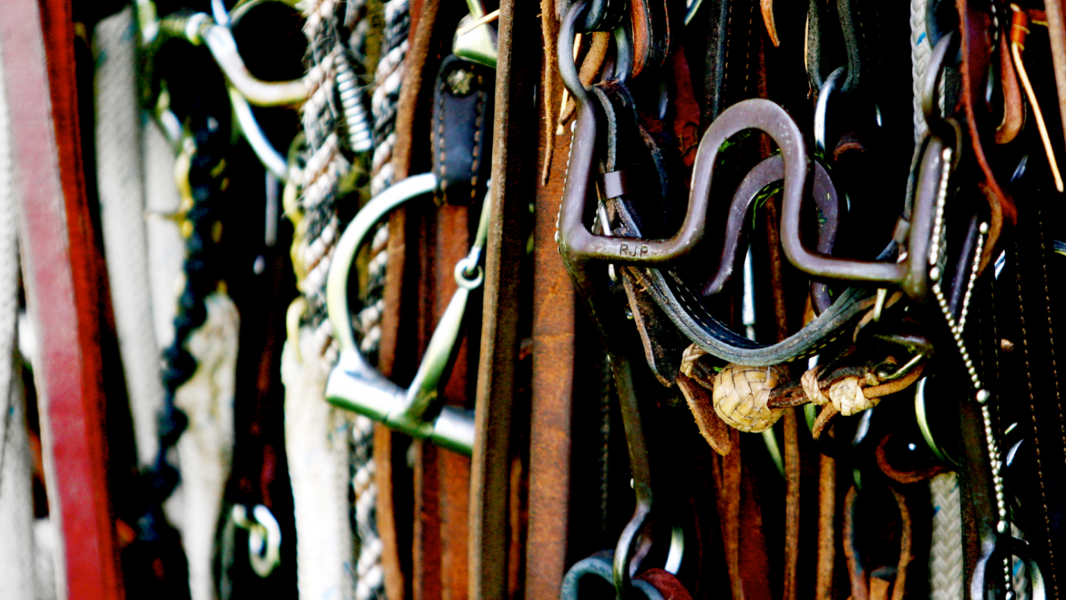 SmartPak Monday Morning Feed: Types & Parts of Western Horse Bits ...