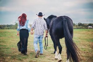 The Premarin Foal That Wasn’t: How DNA Helped Solve an Identity Mystery ...