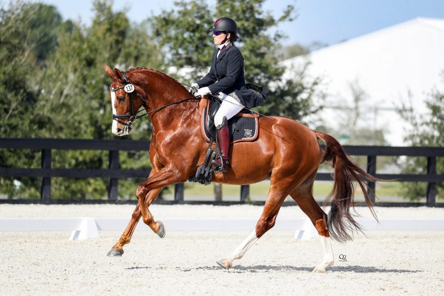 The Idea of Order: Red Mare vs Winter | HORSE NATION