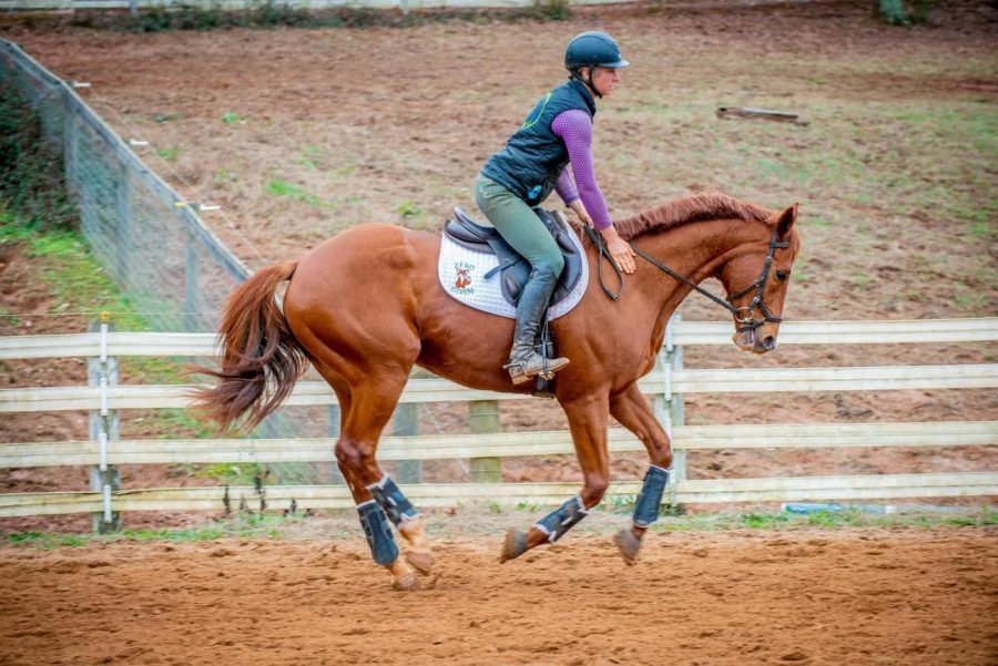 Thoroughbred Logic, Presented by Kentucky Performance Products: Rider ...