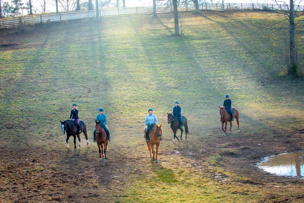 Thoroughbred Logic, Presented by Kentucky Performance Products: Rider ...