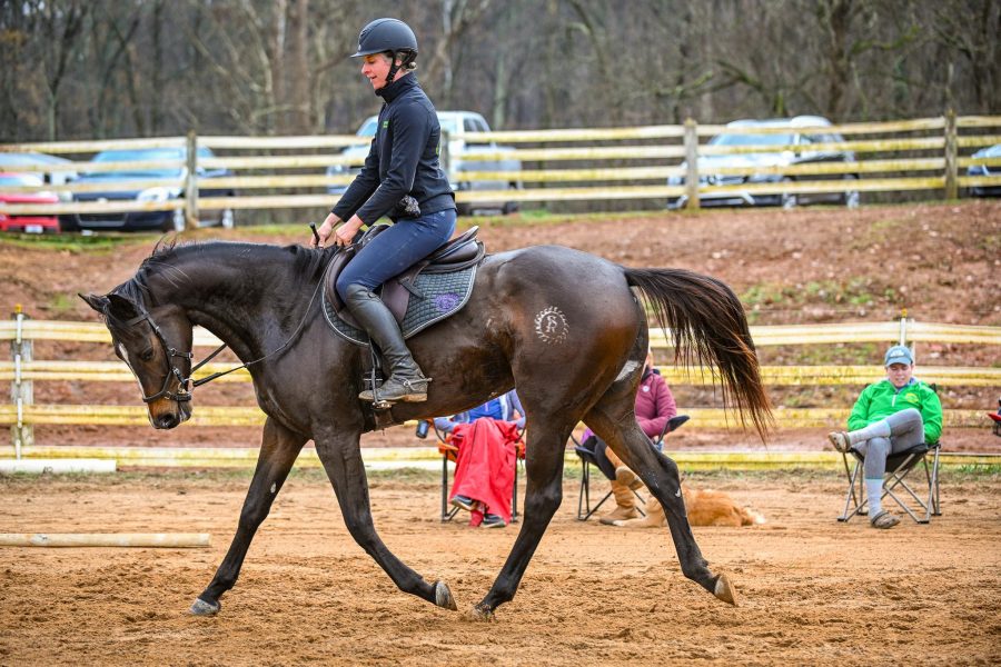 Thoroughbred Logic, Presented by Kentucky Performance Products: Rider ...