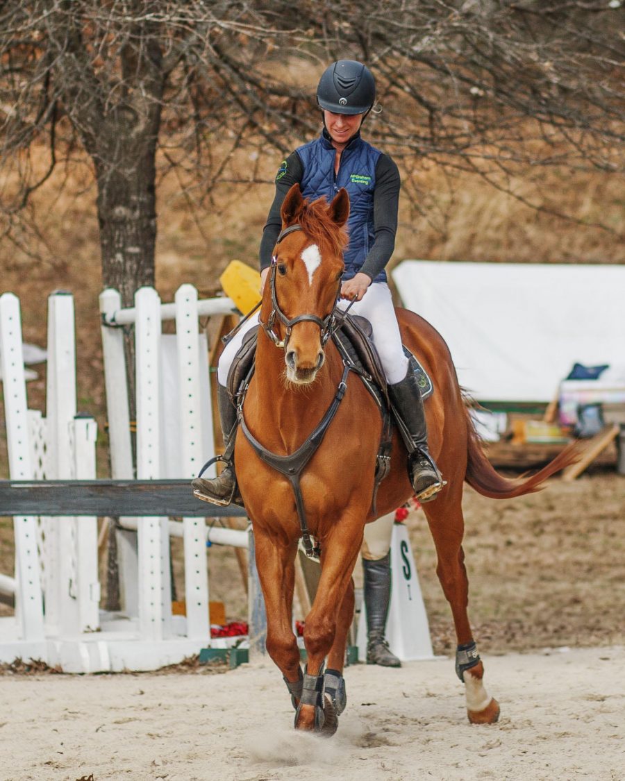 Thoroughbred Logic, Presented by Kentucky Performance Products ...