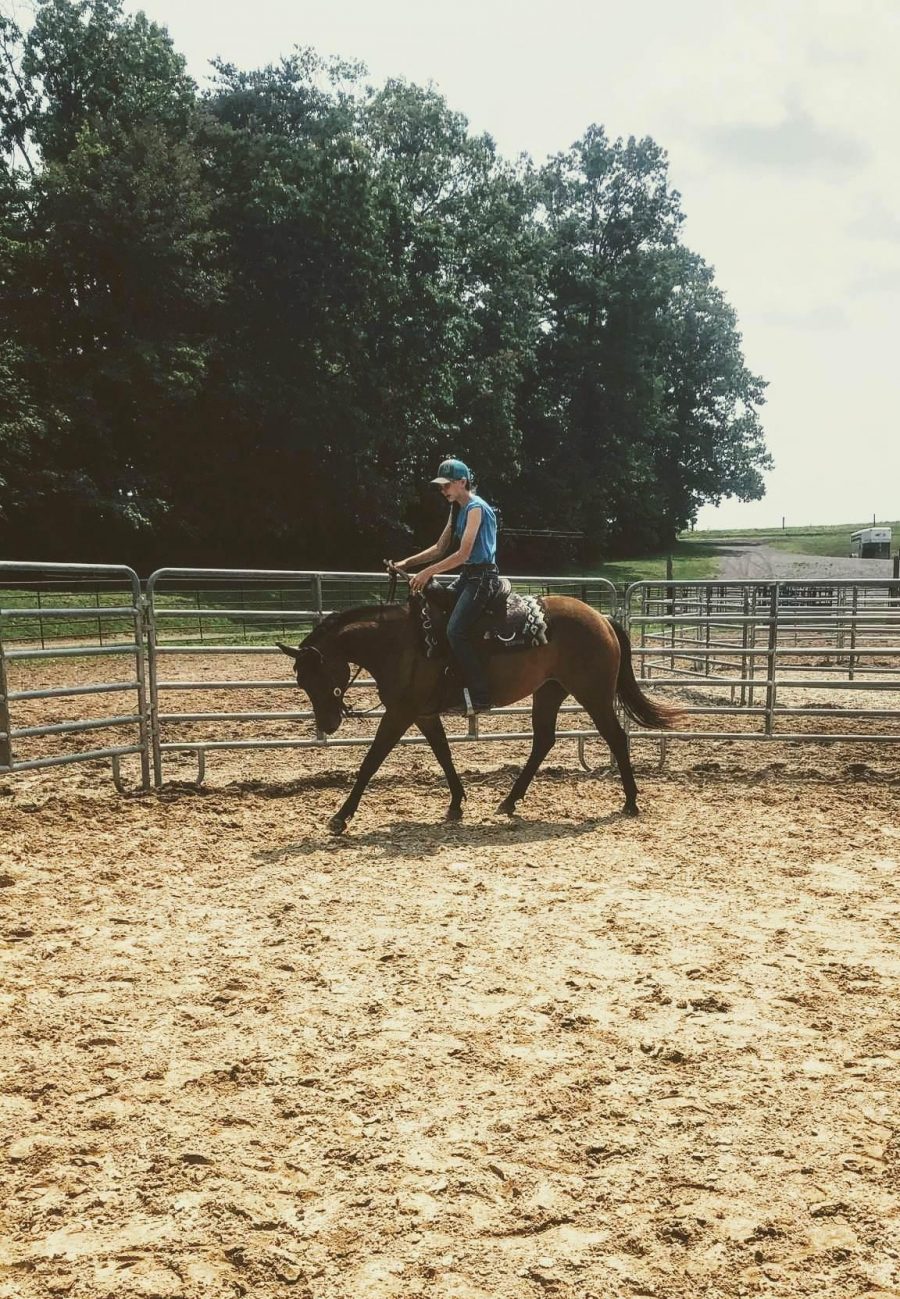 Patterns for the Weekend: 4-Step Warm Up Prep | HORSE NATION