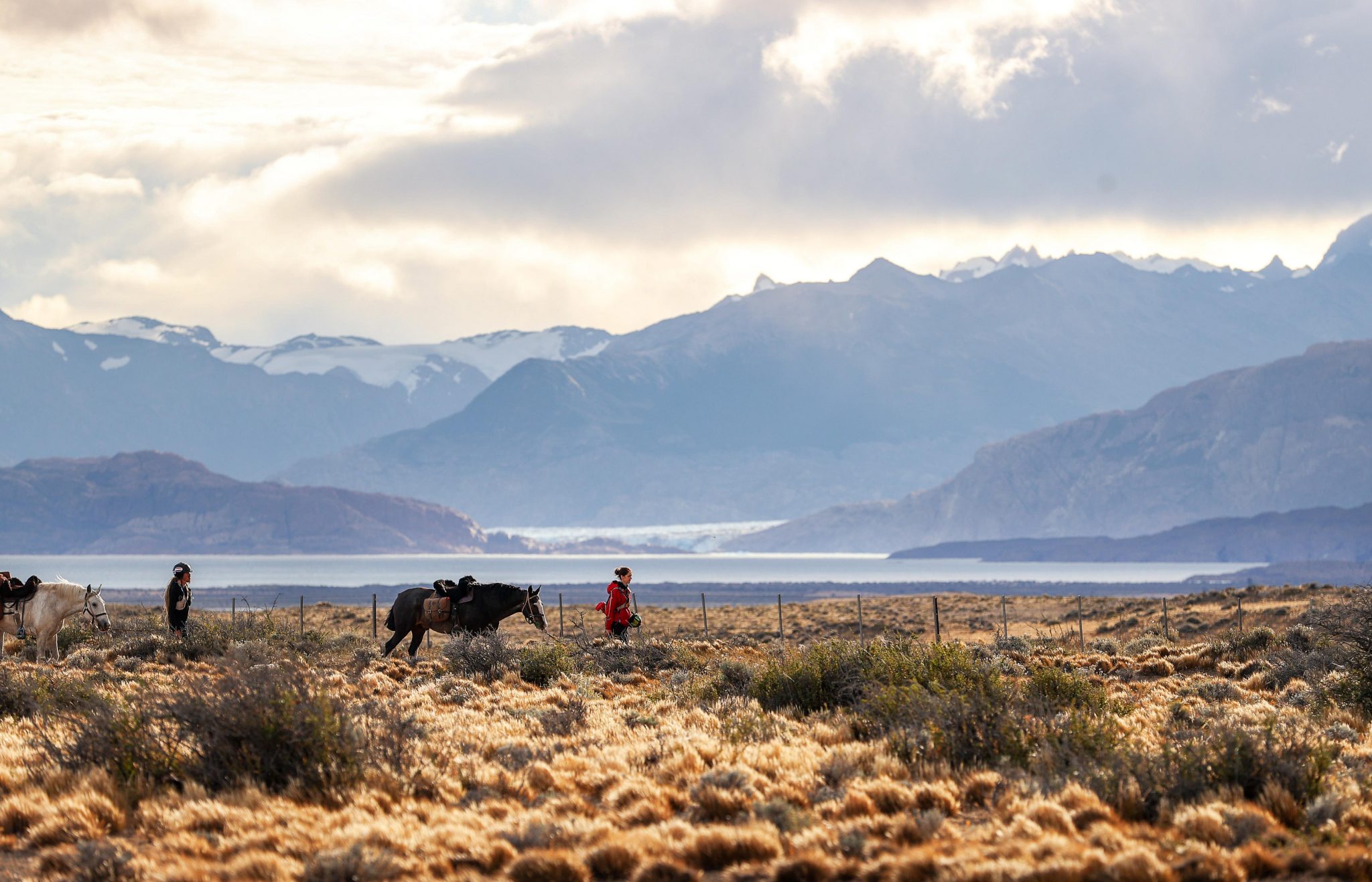 Trio Claim Victory in the Greatest Test of Horsemanship and Survival ...