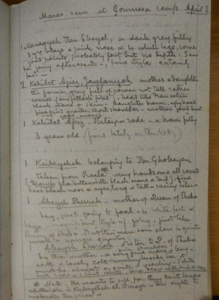 Women’s History Month: Anne Blunt, Lady of the Horses | HORSE NATION