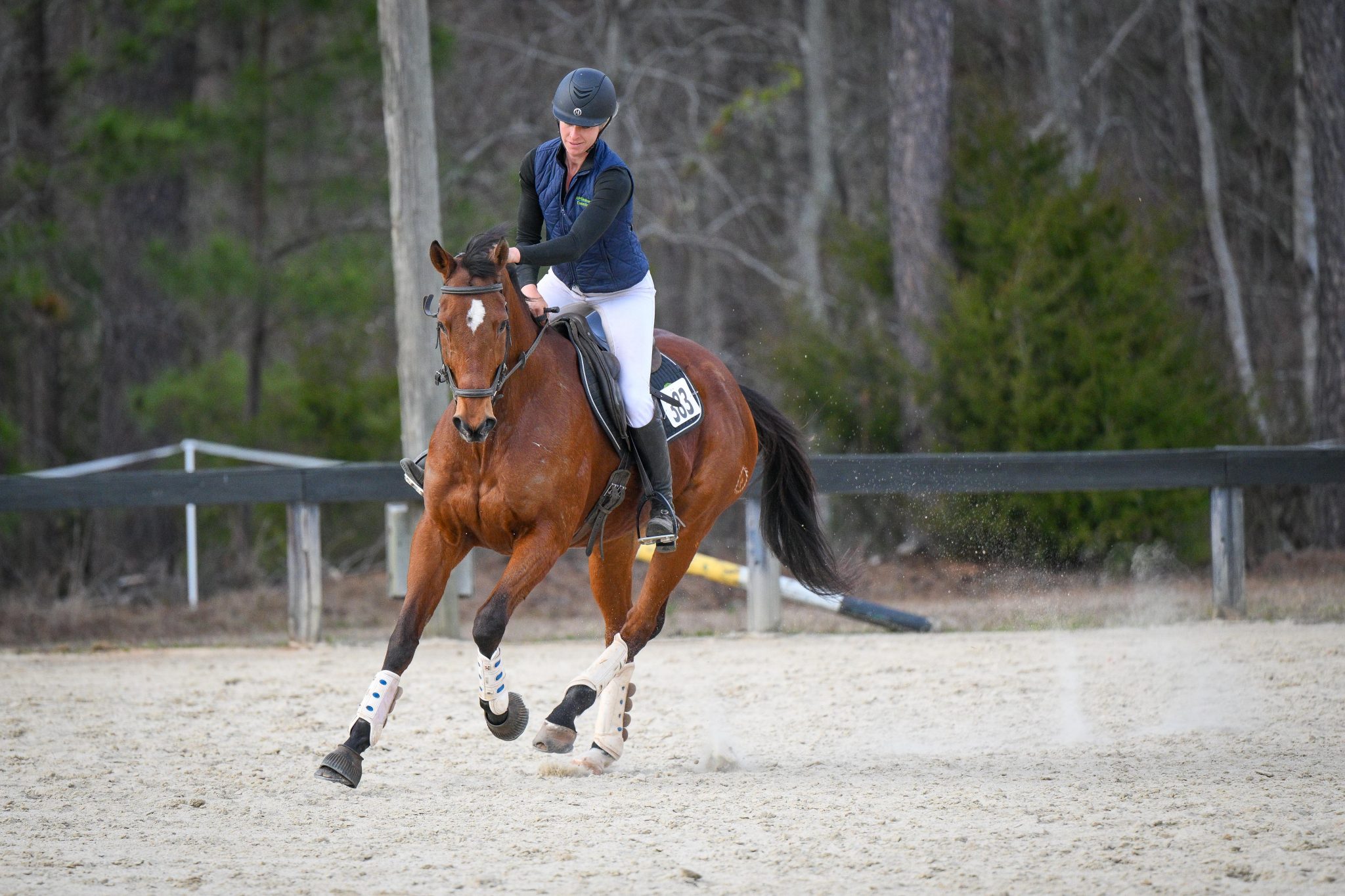 Thoroughbred Logic, Presented by Kentucky Performance Products: Lifting ...