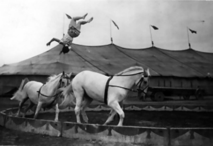 Women’s History Month: Five Historic Horsewomen You Should Know | HORSE ...