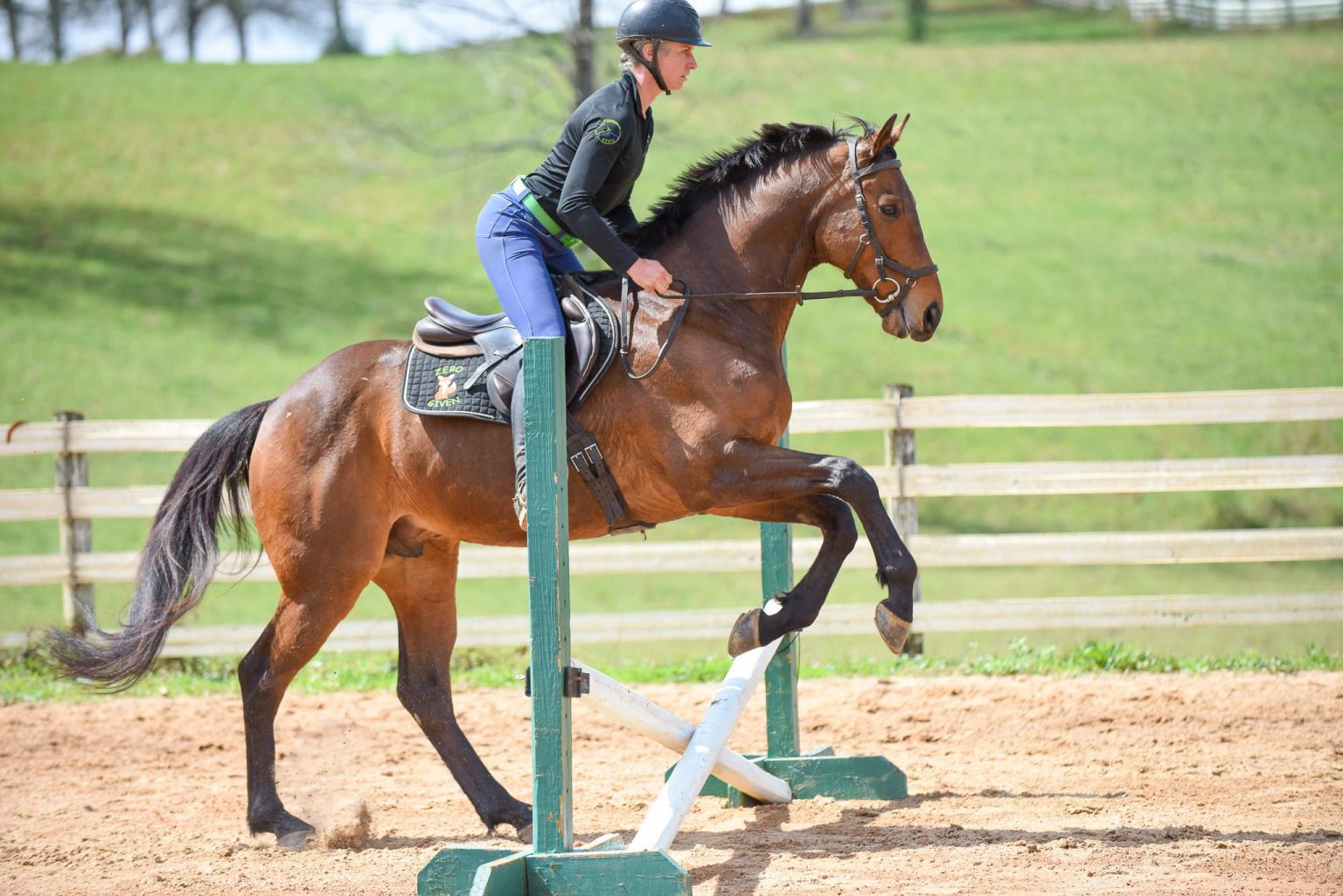 Thoroughbred Logic, Presented by Kentucky Performance Products: Good ...