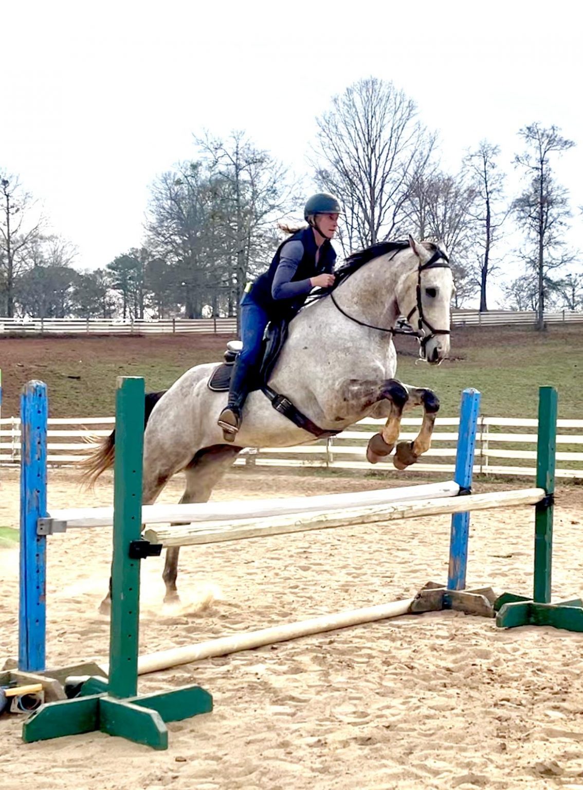 Thoroughbred Logic, Presented by Kentucky Performance Products: Good ...