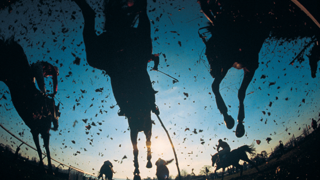 Op-Ed: After Thoroughbred Racing Overhaul, Unsanctioned Bush Racing ...