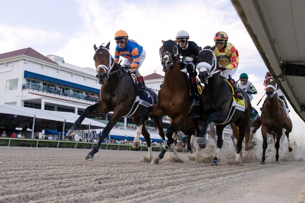 Kentucky Derby Favorite Fierceness Wins Curlin Florida Derby | HORSE NATION