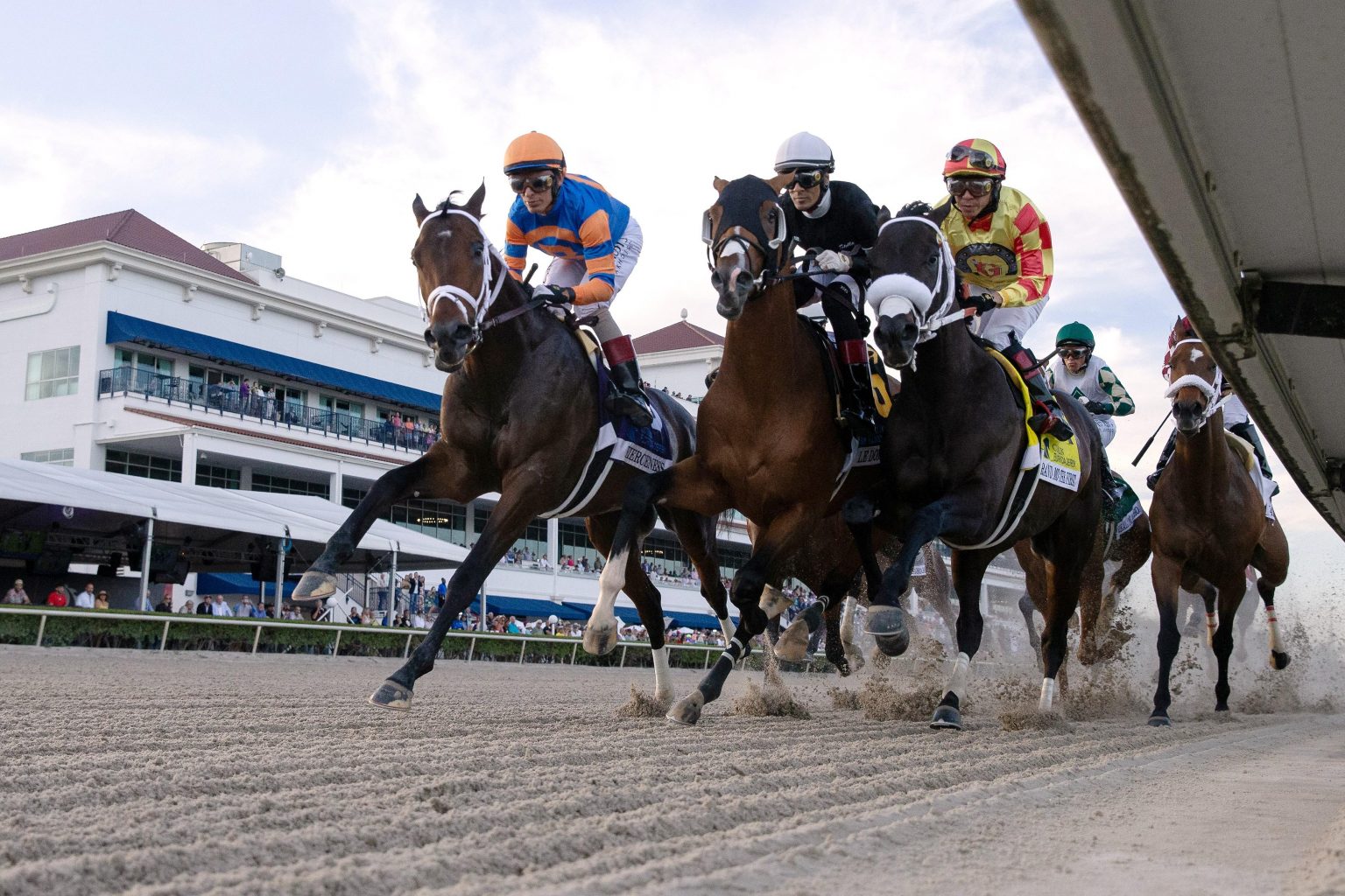 Kentucky Derby Favorite Fierceness Wins Curlin Florida Derby | HORSE NATION