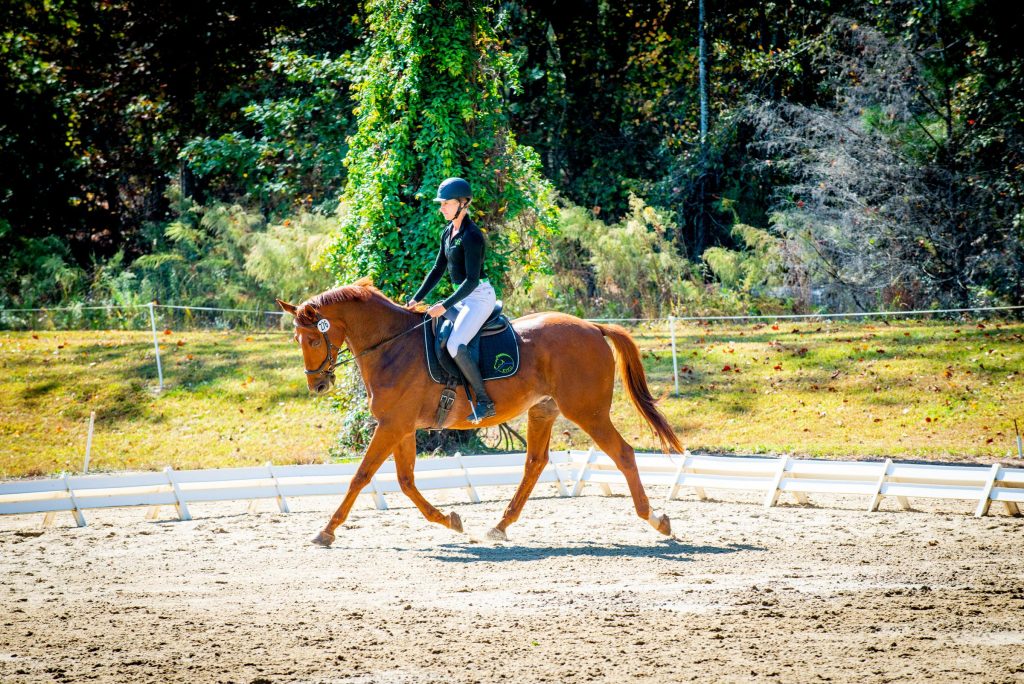 Thoroughbred Logic, Presented by Kentucky Performance Products: Hold ...