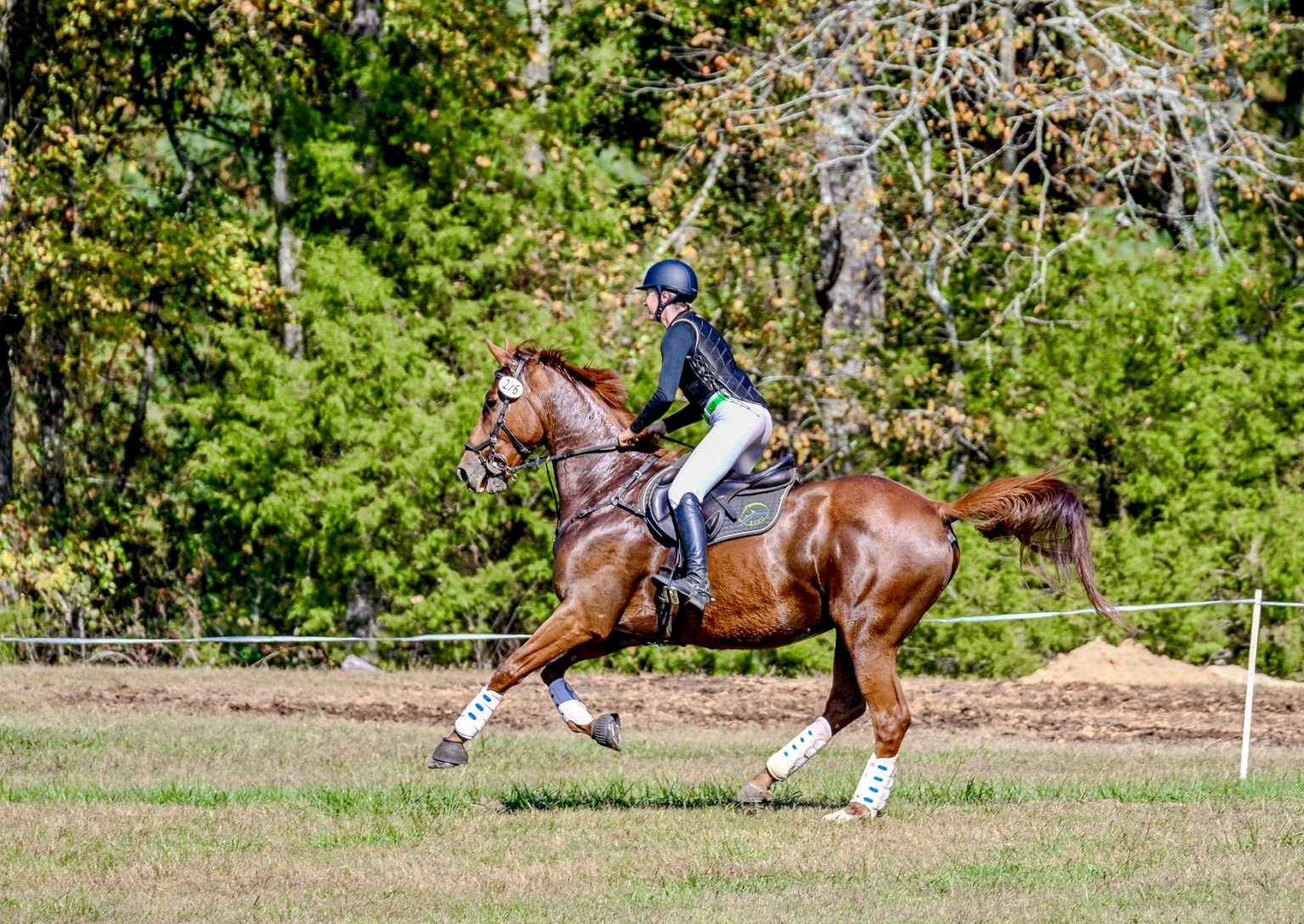 Thoroughbred Logic, Presented by Kentucky Performance Products: Hold ...