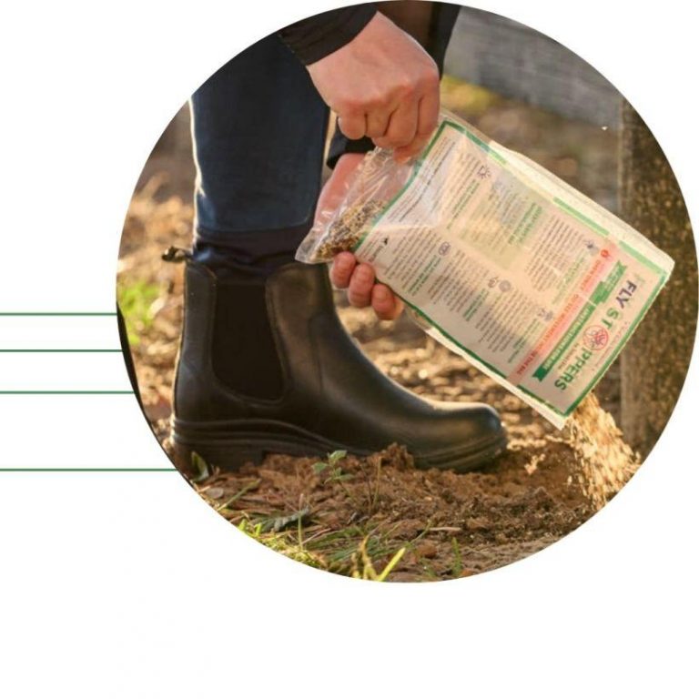 SmartPak Monday Morning Feed: 3 Ways To Keep Your Barn Fly-Free | HORSE ...