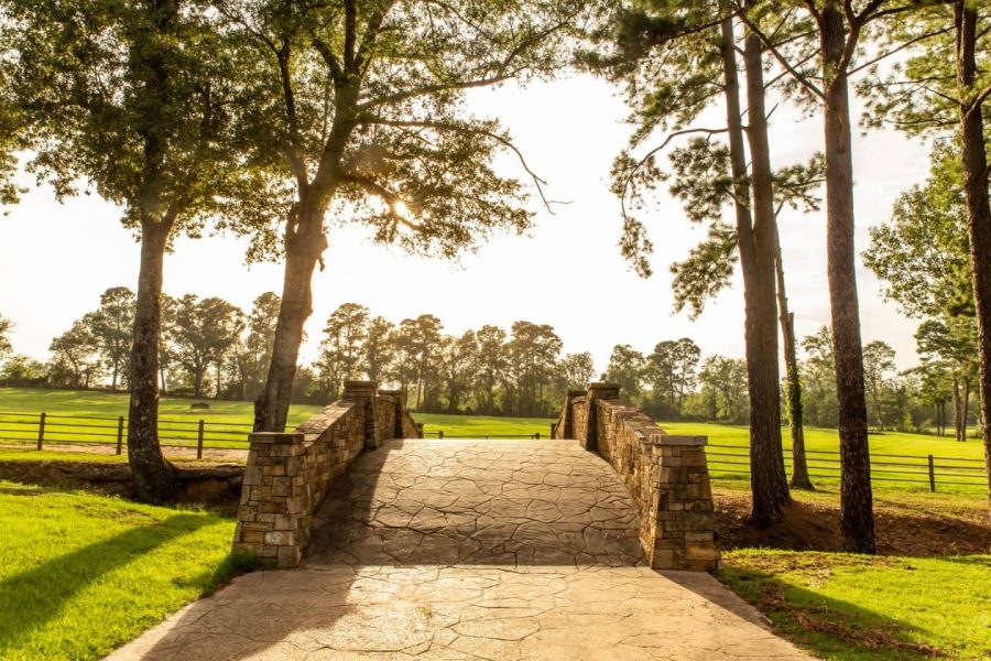 Fantasy Farm Friday: East Texas Equine Masterpiece | HORSE NATION