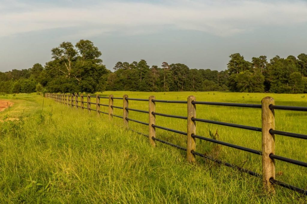 Fantasy Farm Friday: East Texas Equine Masterpiece | HORSE NATION