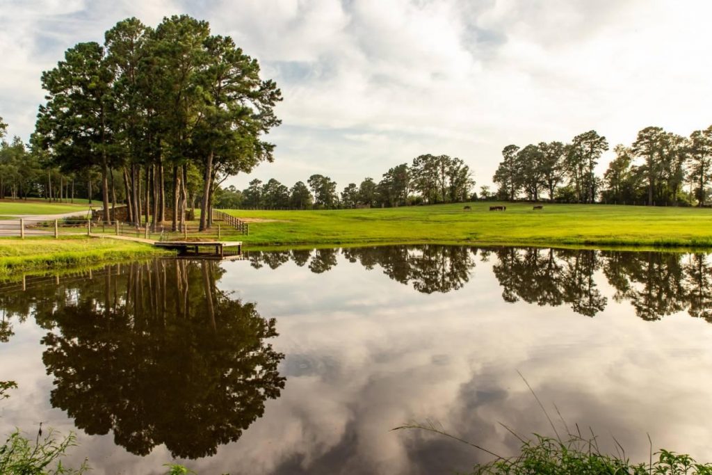 Fantasy Farm Friday: East Texas Equine Masterpiece | HORSE NATION