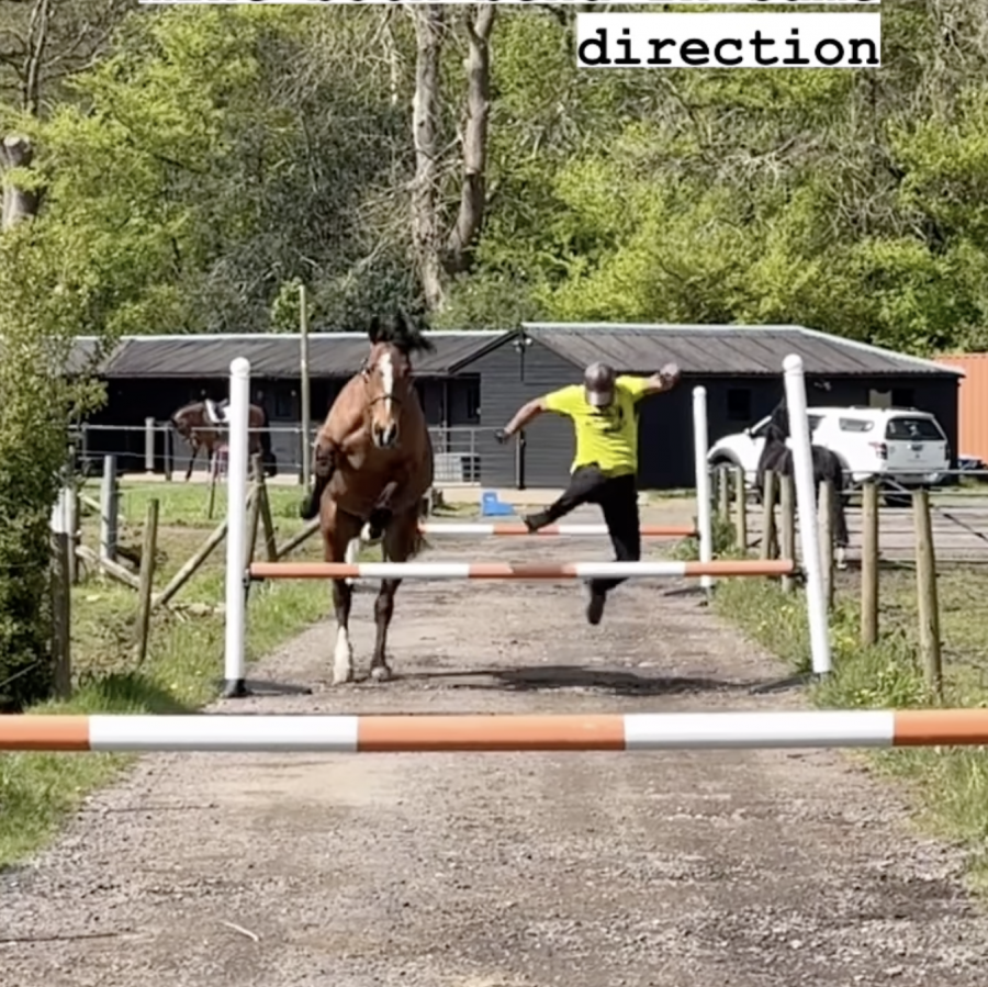 Thursday Video: Synchronized Jumping | HORSE NATION