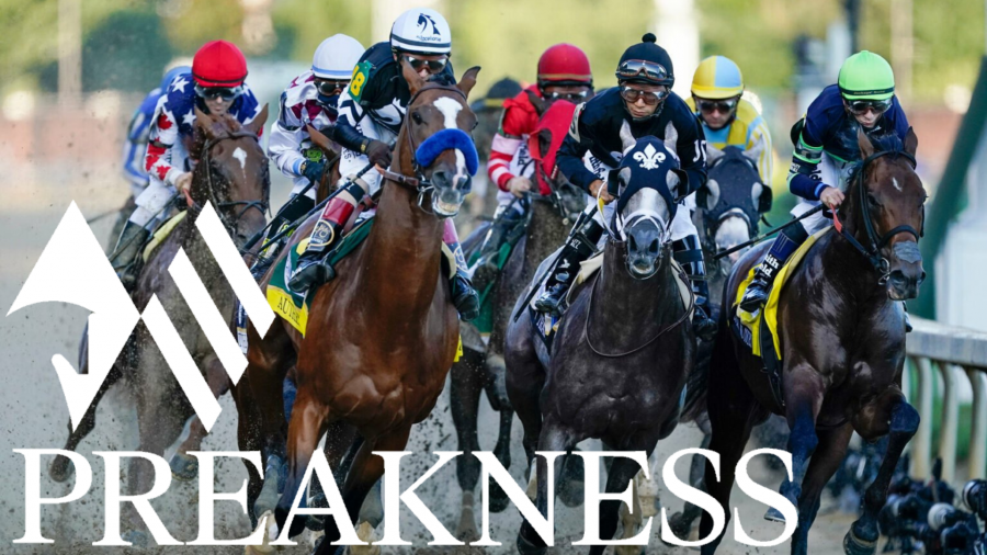 2024 Preakness Stakes Field Preview & Poll | HORSE NATION
