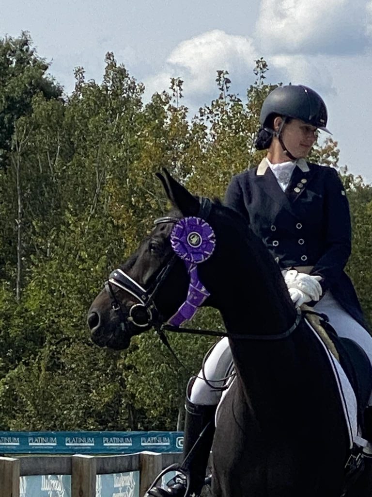 Training in the Right Way: Knowing When It’s Time To Stop | HORSE NATION