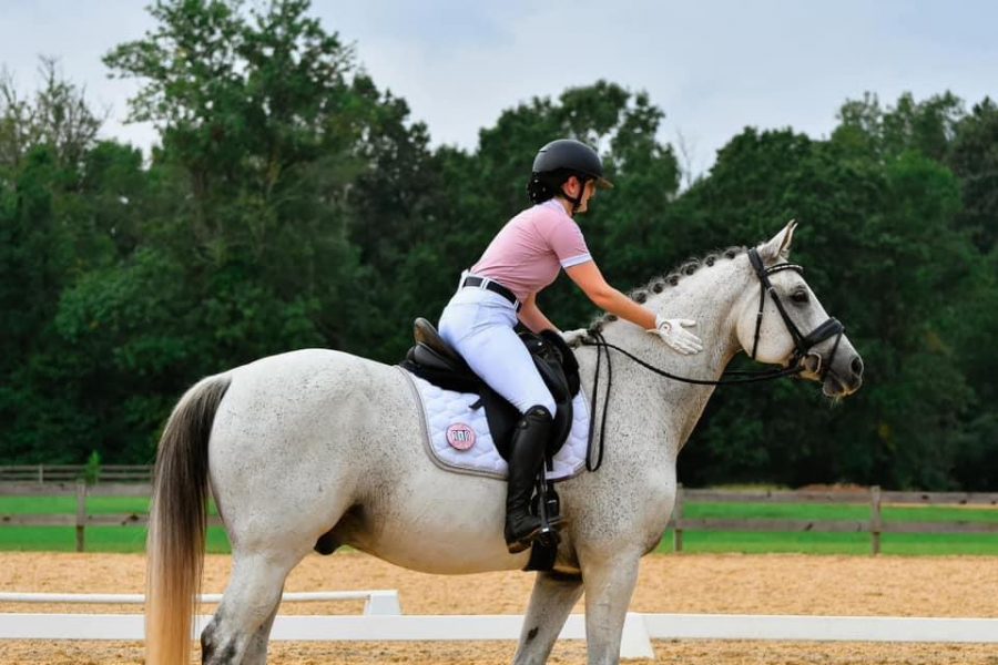 Reader Photo Challenge: Horse Pats | HORSE NATION