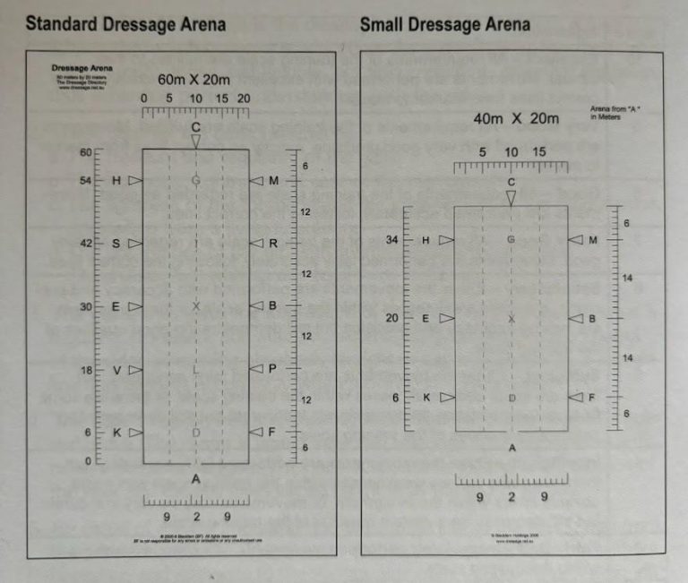 Training in the Right Way: Using the Dressage Arena To Maximize Your ...