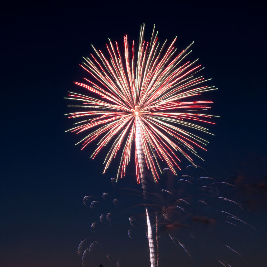 Horses and Fireworks: 10 Safety Tips | HORSE NATION