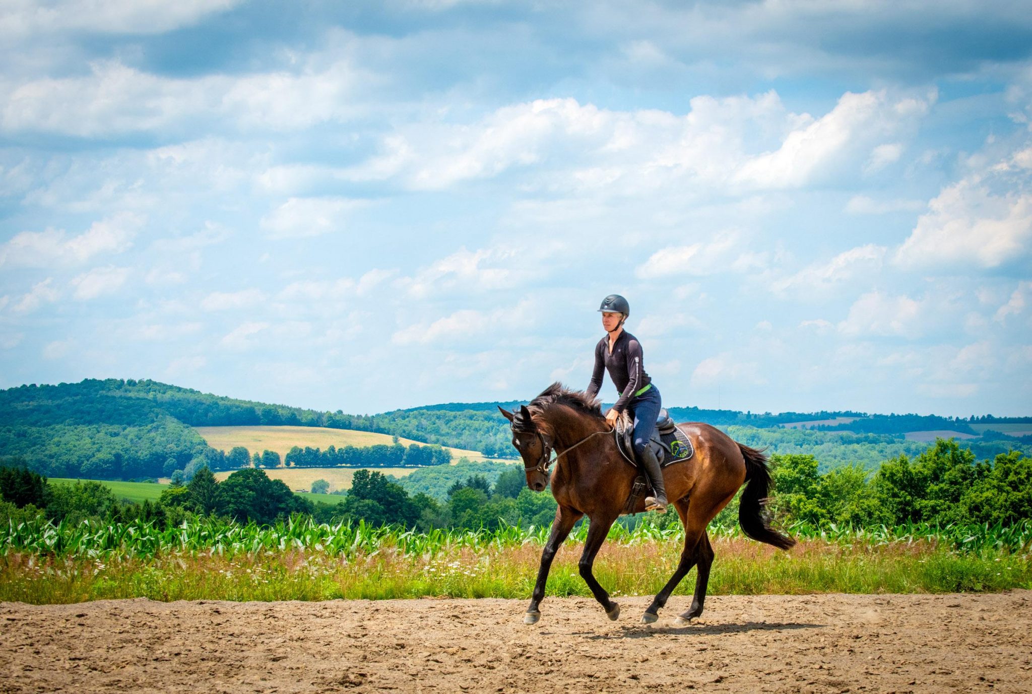 Thoroughbred Logic, Presented by Kentucky Performance Products: Point ...