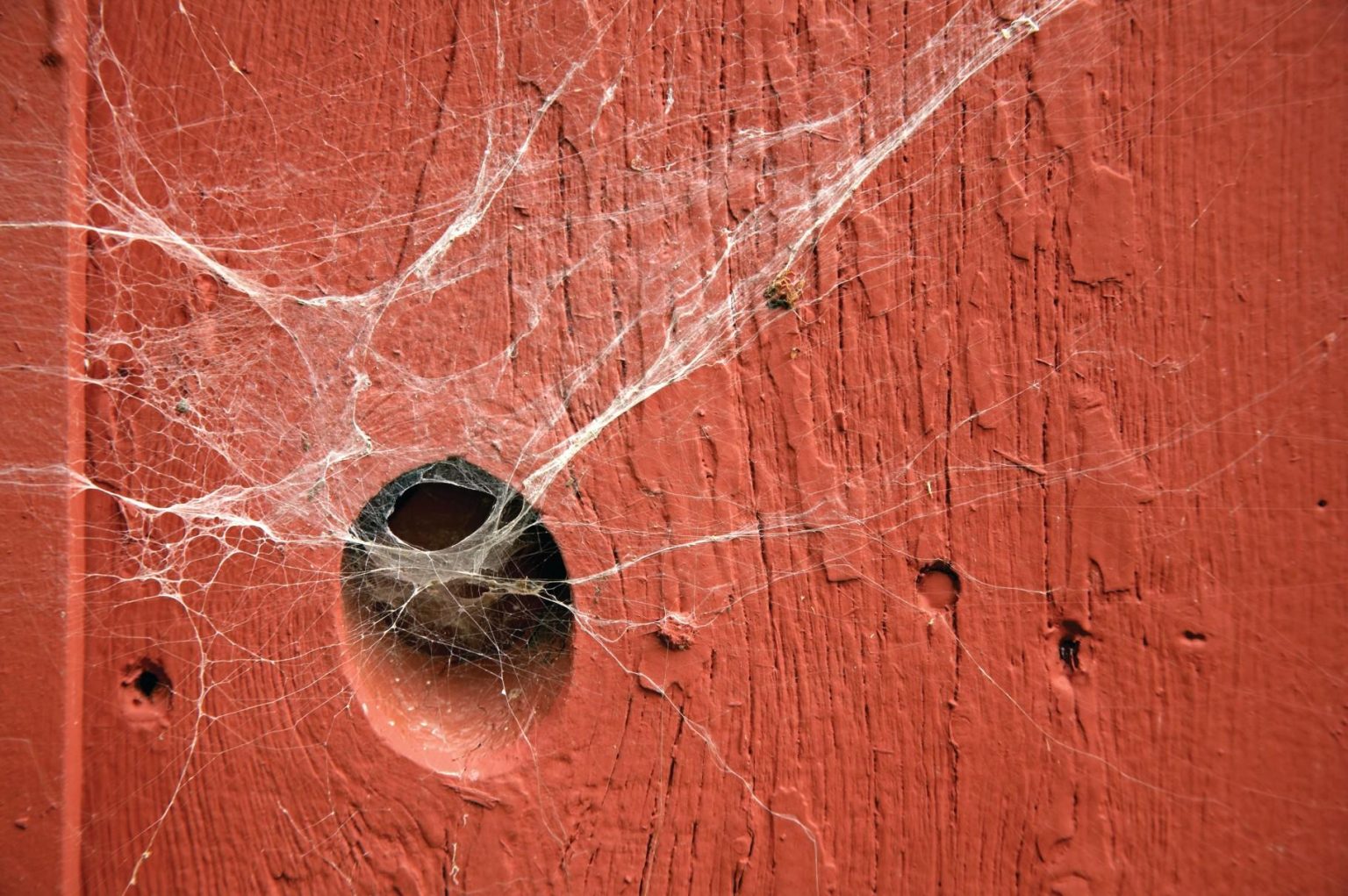 SmartPak Monday Morning Feed: 5 Ways to Control Dust in Your Barn ...