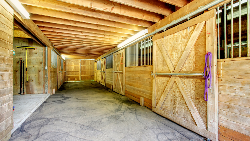 SmartPak Monday Morning Feed: 5 Ways to Control Dust in Your Barn ...