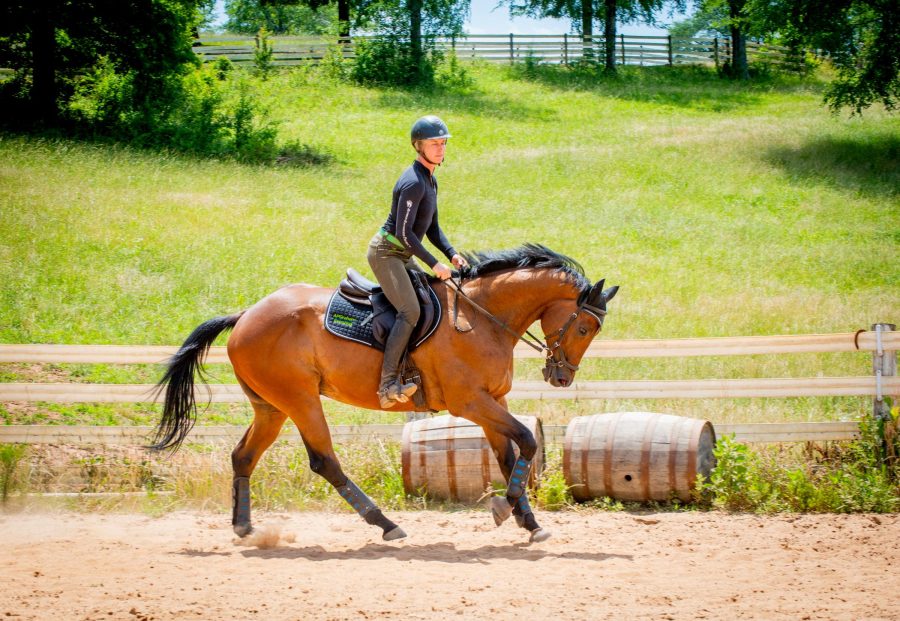 Thoroughbred Logic, Presented by Kentucky Performance Products: A ‘Good ...