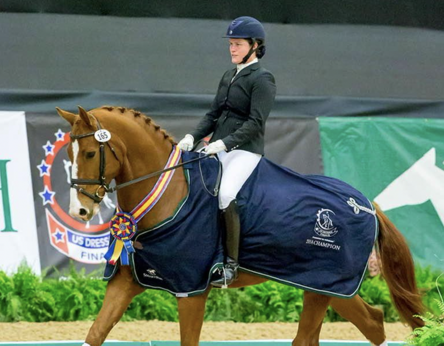 Training in the Right Way: When to Compete | HORSE NATION