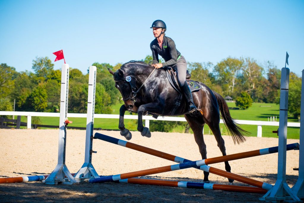 Thoroughbred Logic, Presented by Kentucky Performance Products: 4 ...