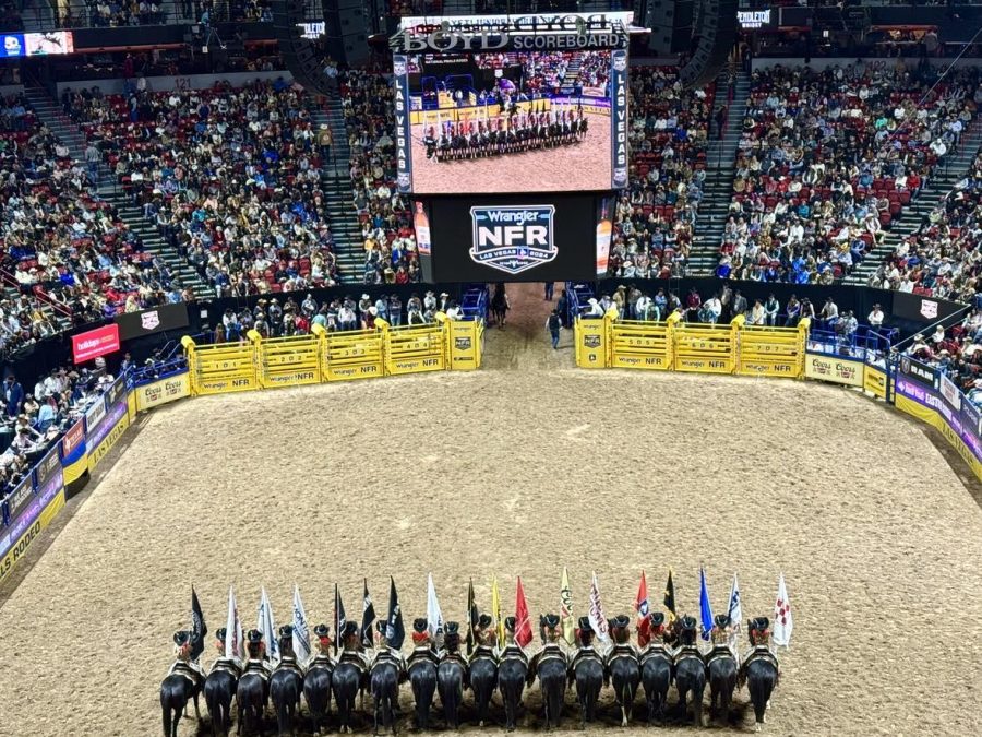 Horsing Around the World: Attending the Wrangler National Finals Rodeo ...