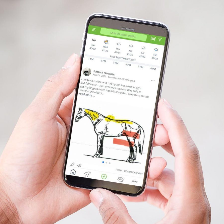 Apps for Horse Trainers | HORSE NATION