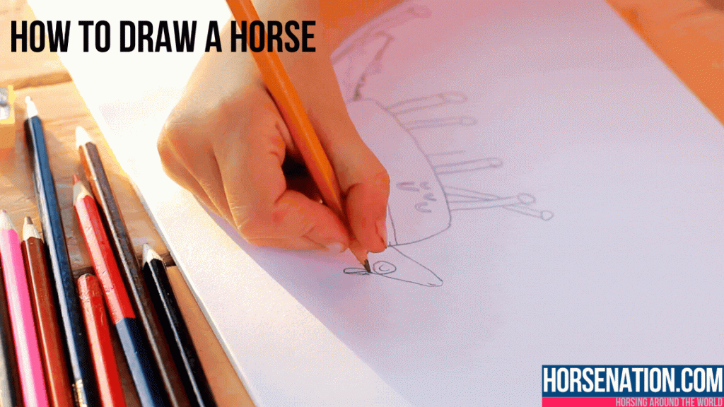 Rainy Day Doodles: Horse Drawing Tutorials | HORSE NATION