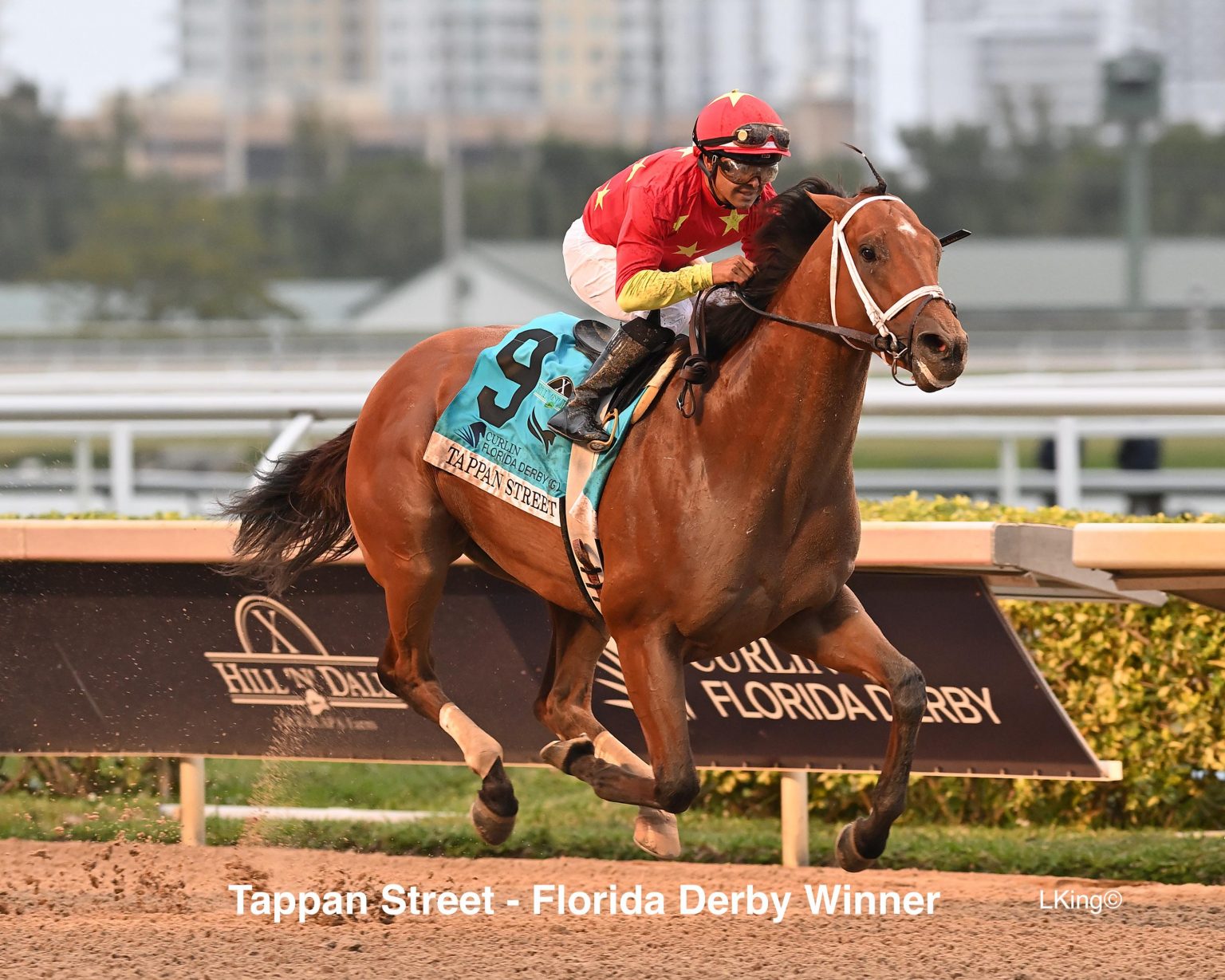 $1M Curlin Florida Derby & $165K Ghostzapper Stakes | HORSE NATION
